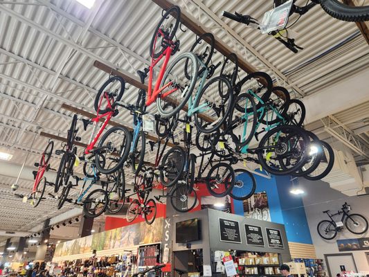 BUSHTUKAH - Updated October 2025 - 5607 Hazeldean Road, Stittsville ...