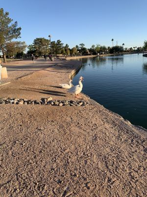 CHAPARRAL PARK - Updated April 2025 - 249 Photos & 85 Reviews - 5401 N ...