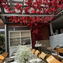 NODO LIBERTY - Updated December 2025 - 113 Photos & 28 Reviews - 120 ...