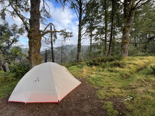 POINT REYES ADVENTURE CO - Updated June 2026 - 26 Photos & 16 Reviews ...