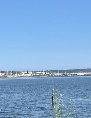 FIDALGO BAY RESORT - Updated December 2025 - 122 Photos & 40 Reviews ...