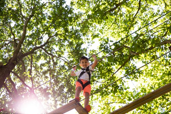 GO APE ZIPLINE & ADVENTURE PARK - 126 Photos & 83 Reviews - 5537 ...