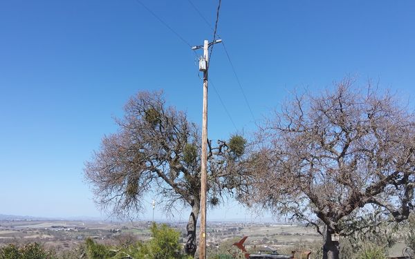 CORE TREE CARE - Updated October 2025 - 13 Photos & 15 Reviews - Corona ...