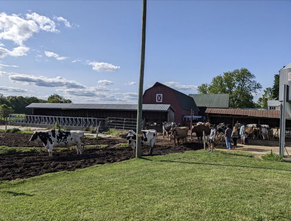 FLAYVORS OF COOK FARM - Updated August 2024 - 128 Photos & 142 Reviews ...