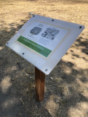 MCCABE MEADOWS PARK - Updated August 2024 - 34 Photos - 19700 Indian ...