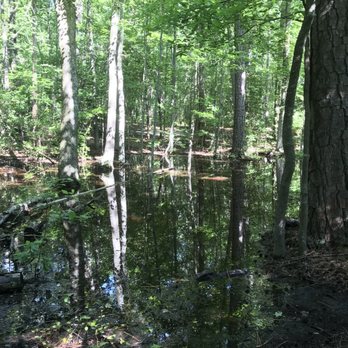 DEEP RUN PARK AND RECREATION CENTER - Updated August 2025 - 80 Photos ...