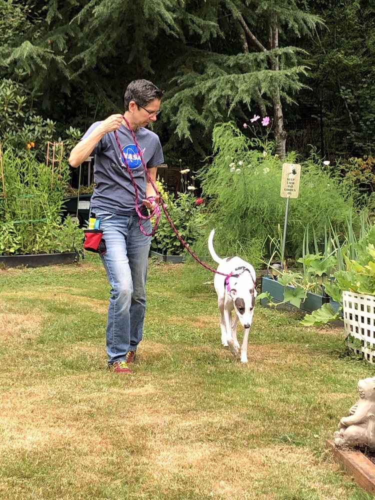 AHIMSA DOG TRAINING - 48 Photos & 191 Reviews - 925 NW 49th St, Seattle ...