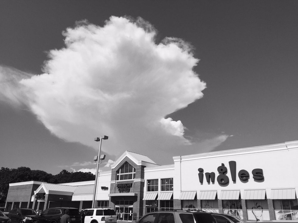 INGLES MARKET - Updated January 2026 - 18 Reviews - 1817 Dallas Nebo Rd ...