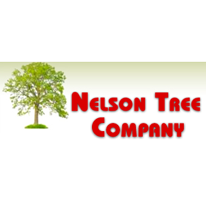 NELSON TREE - Updated April 2024 - 10 Photos - 7902 Route 30 N ...
