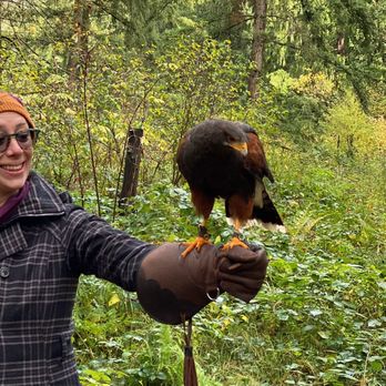 PACIFIC NORTHWEST RAPTORS - Updated October 2025 - 62 Photos & 18 ...