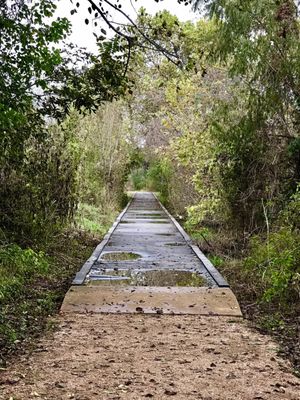 Berry Springs Park And Preserve - 44 Photos & 11 Reviews - Parks - 1801 ...