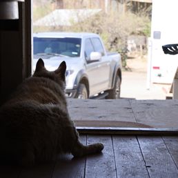 CLEATOR BAR AND YACHT CLUB - Updated September 2025 - 68 Photos & 26 ...