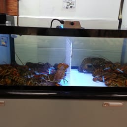 PISCES FISH MARKET - Updated July 2025 - 54 Photos & 33 Reviews - 413 ...