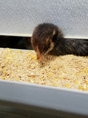 IFA COUNTRY STORE - SALT LAKE CITY - Updated December 2025 - 11 Photos ...