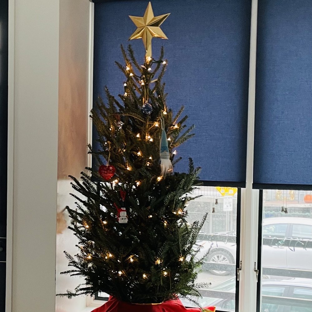 TYLER’S TREES - Updated November 2024 - 41 Photos & 69 Reviews - 605 ...