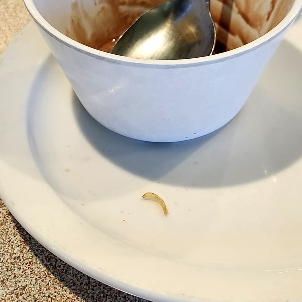 SPIRES RESTAURANT - Updated December 2025 - 151 Photos & 150 Reviews ...