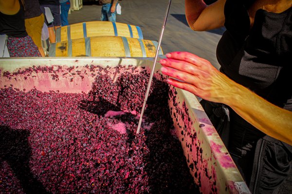 THE WINE FOUNDRY - Updated June 2024 - 74 Photos & 10 Reviews - 45 ...