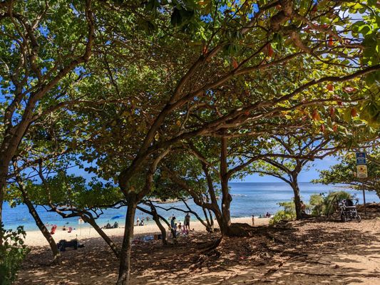 THREE TABLES BEACH - Updated May 2024 - 316 Photos & 29 Reviews - 59 ...