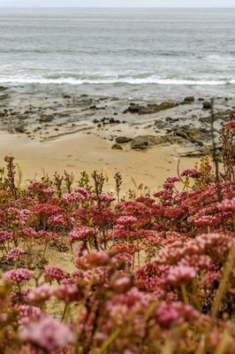 EL MORO TRAILS & CRYSTAL COVE STATE BEACH - Updated April 2024 - 901 ...