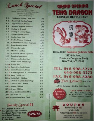 TENG DRAGON - Updated August 2025 - 10 Reviews - 2923 8th Ave, New York ...