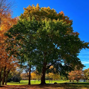 WARNIMONT GOLF COURSE - Updated June 2025 - 21 Photos & 10 Reviews ...