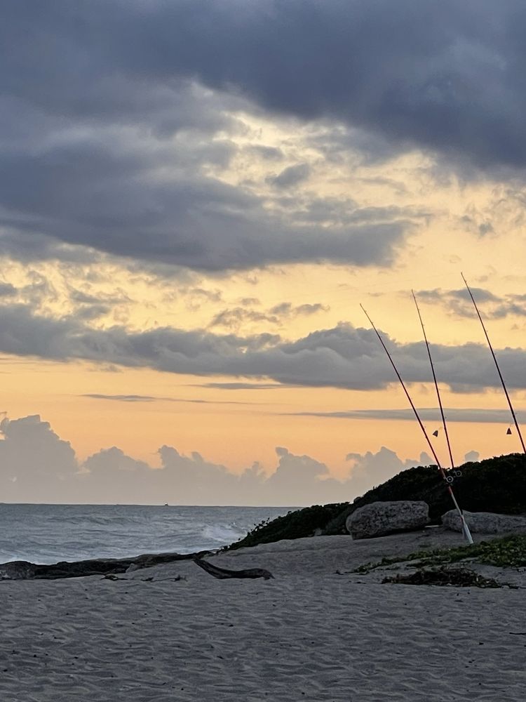 ONEULA BEACH PARK - Updated December 2025 - 130 Photos & 26 Reviews ...