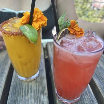 DARLING AVIARY - Updated October 2025 - 929 Photos & 768 Reviews - 712 ...