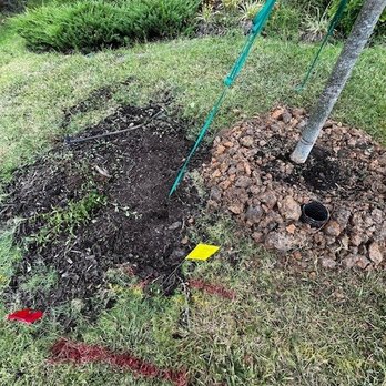 TREELAND NURSERY - Updated September 2025 - 54 Photos & 74 Reviews ...