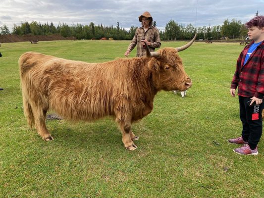 DIAMOND M RANCH RESORT - Updated August 2025 - 30 Photos & 20 Reviews ...