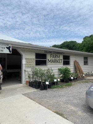 DELANO FARM MARKET - Updated December 2025 - 73 Photos & 65 Reviews ...