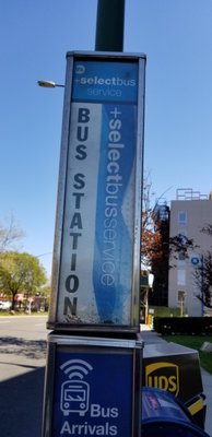 Q44 BUS - Updated April 2025 - 25 Photos & 19 Reviews - Jamaica Avenue ...