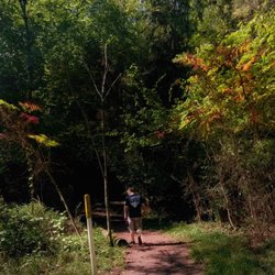 NOLDE FOREST ENVIRONMENTAL EDUCATION CENTER - 79 Photos - 2910 New ...