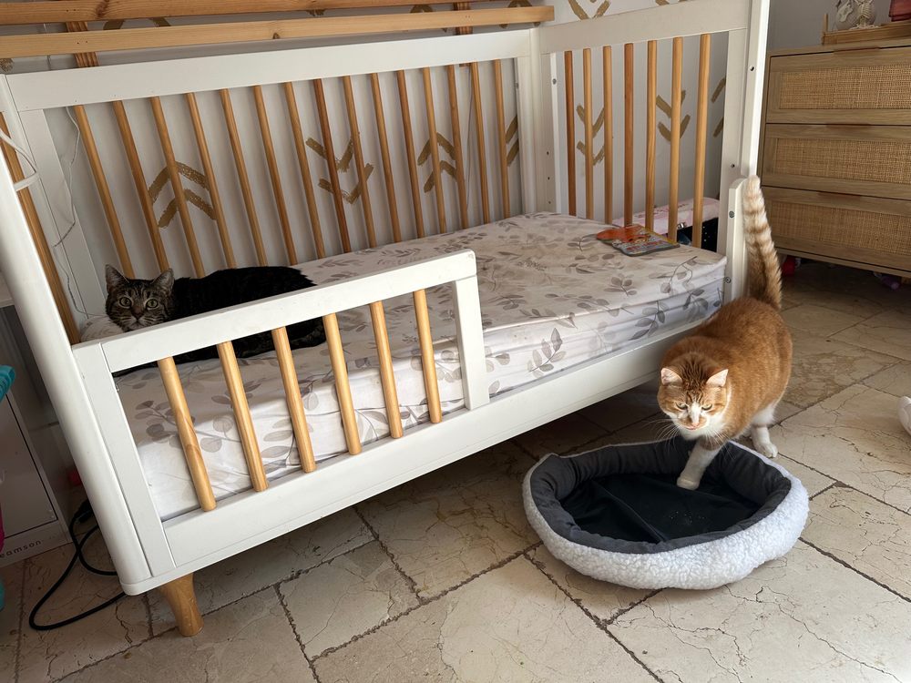 FOUR PAWS INN - Updated December 2025 - Request Information - 23 Photos ...