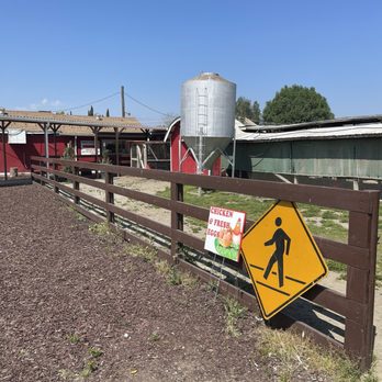 MAUST’S CALIFORNIA POULTRY - Updated December 2024 - 194 Photos & 112 ...