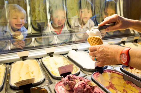 CALLESTICK FARM ICE CREAM - Updated July 2025 - 18 Photos - Callestick ...