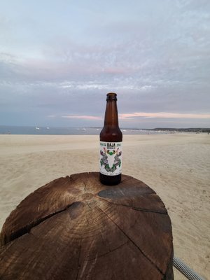 CACTUS RENT A CAR - Updated December 2025 - 62 Photos & 301 Reviews ...