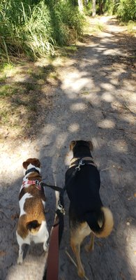 RED BUG SLOUGH - Updated October 2025 - 31 Photos - 5200 Beneva Rd ...