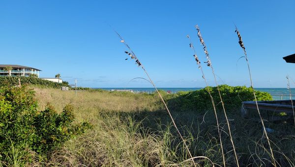 HUMISTON BEACH PARK - 84 Photos & 15 Reviews - 3000 Ocean Dr, Vero ...