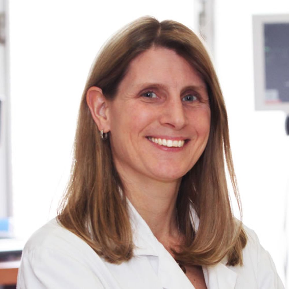 Laurie Bayer's Instagram, Twitter & Facebook on IDCrawl