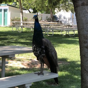 MERCED FRUIT BARN - Updated April 2025 - 43 Photos & 26 Reviews - 4526 ...