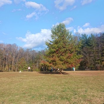 TANGLEWOOD PARK - Updated August 2025 - 162 Photos & 81 Reviews - 4061 ...