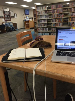 OKEMOS LIBRARY - Updated October 2025 - 4321 Okemos Rd, Okemos ...