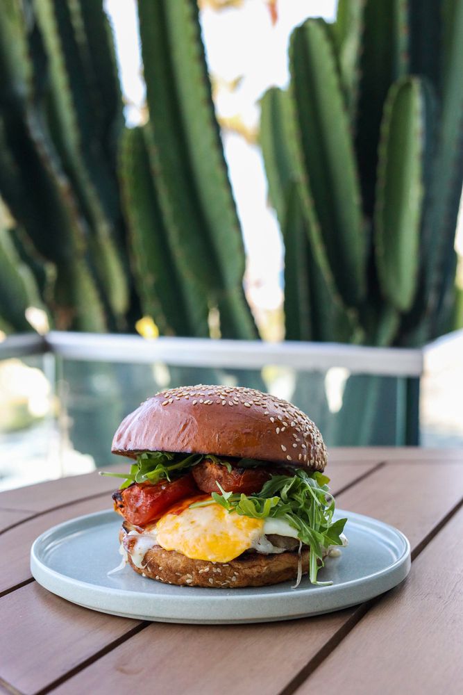 THE KITCHEN MCASD - Updated July 2024 - 115 Photos & 40 Reviews - 700 ...