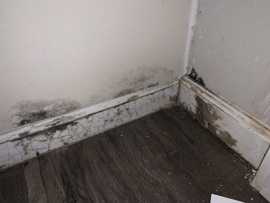 POINT GUARD MANAGEMENT - Updated February 2025 - 31 Photos & 27 Reviews ...