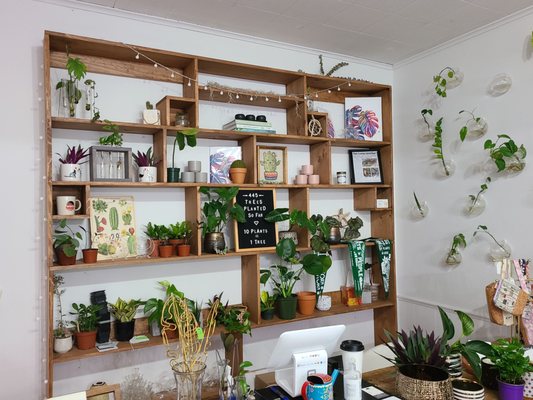 THE PLANT SHACK - Updated January 2026 - 41 Photos - 618 Main St, East ...