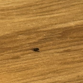 OMOKASE - Updated July 2025 - 1205 Photos & 1146 Reviews - 8220 Haven ...