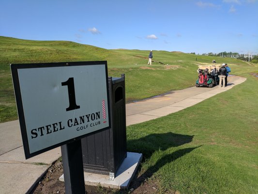 STEEL CANYON GOLF CLUB - Updated June 2025 - 85 Photos & 51 Reviews ...