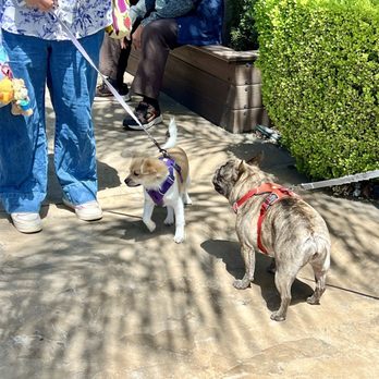 SKEWERS KABOB HOUSE! - Updated June 2024 - 899 Photos & 1272 Reviews ...