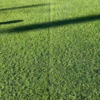 THE SYNTHETIC GRASS STORE - Updated July 2025 - 89 Photos & 52 Reviews ...