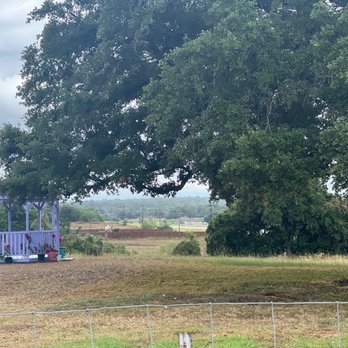 LULING LAVENDER FIELDS - Updated December 2024 - 137 Photos & 29 ...